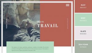 Voice Actor Website Color Schemes - Color Palletes For Your VO Website