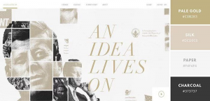 Voice Actor Website Color Schemes - Color Palletes For Your VO Website