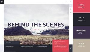 Voice Actor Website Color Schemes - Color Palletes For Your VO Website